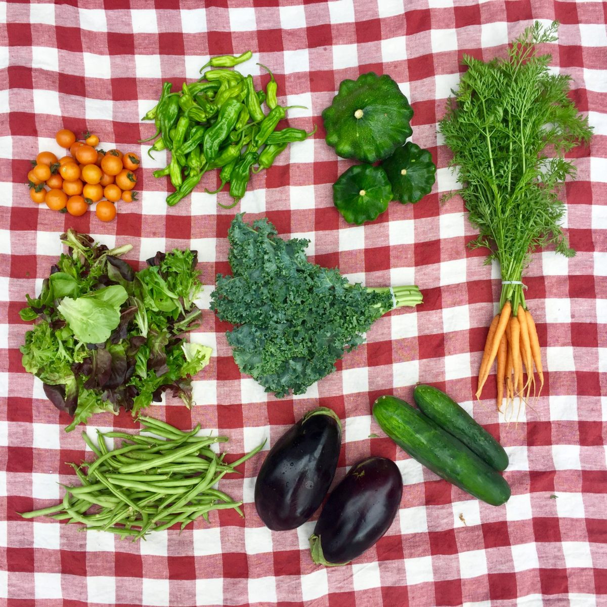 About Kilt Farm - Kilt Farm