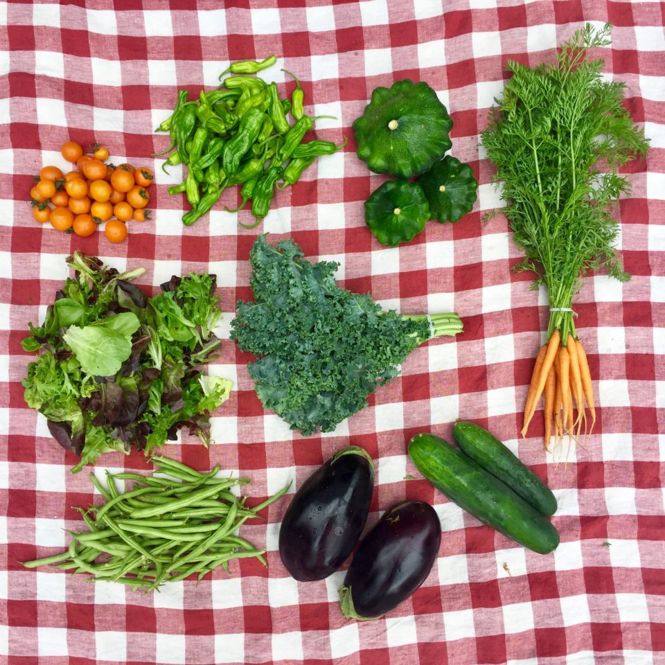 About Kilt Farm - Kilt Farm